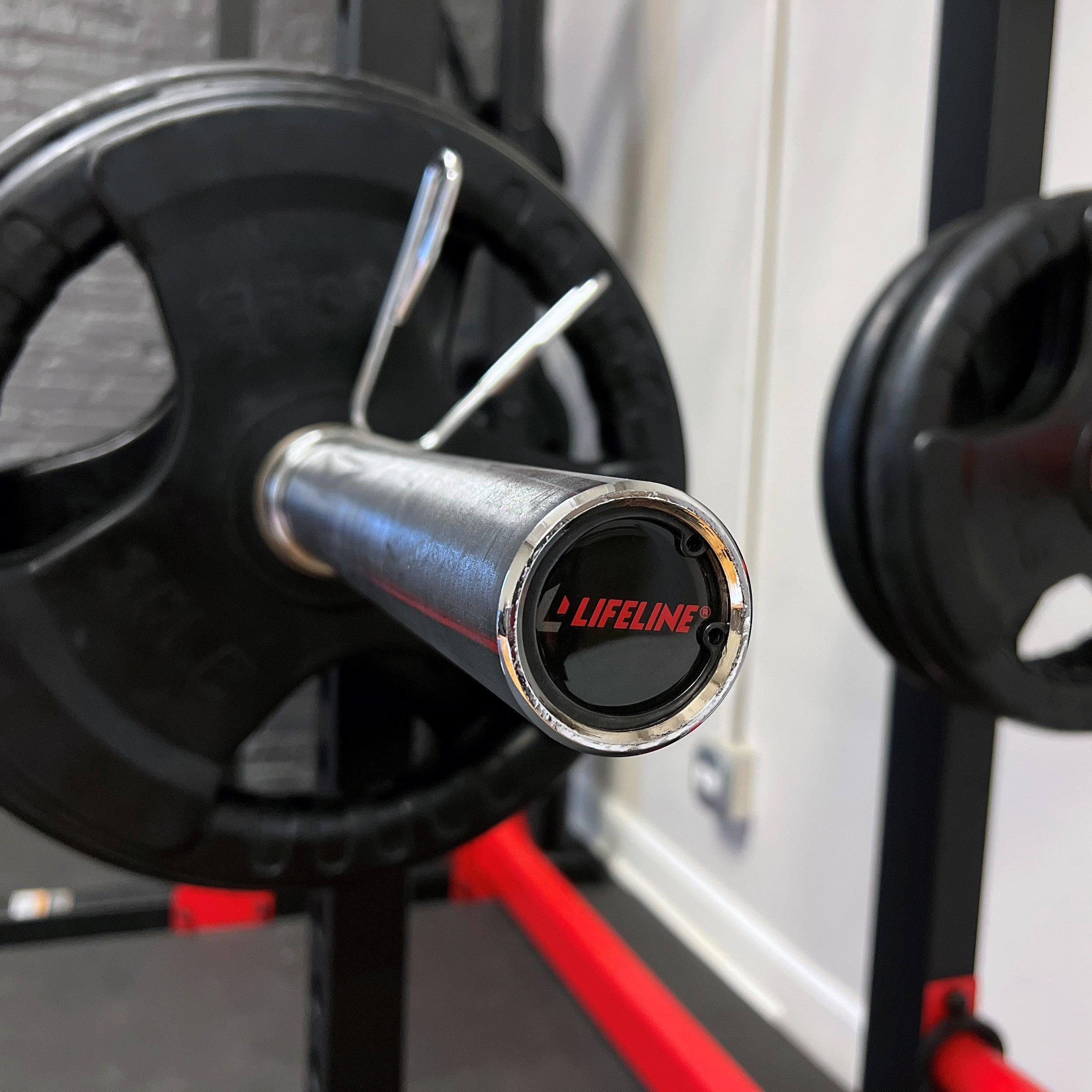 Beginner Workout Plan: A Simple Guide to Start Your Fitness Journey ...
