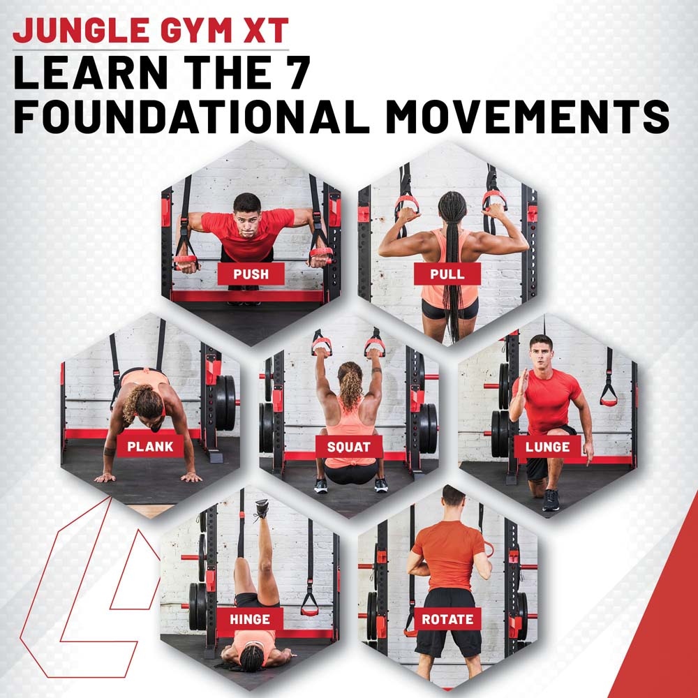 Lifeline Fitness Jungle Gym XT